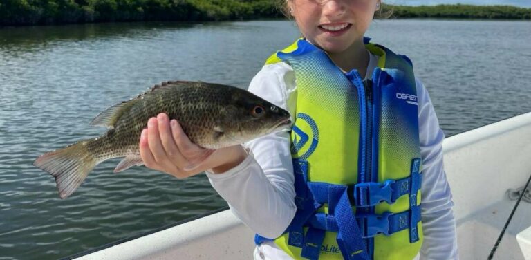 Mangrove Snapper in Crystal River, Florida